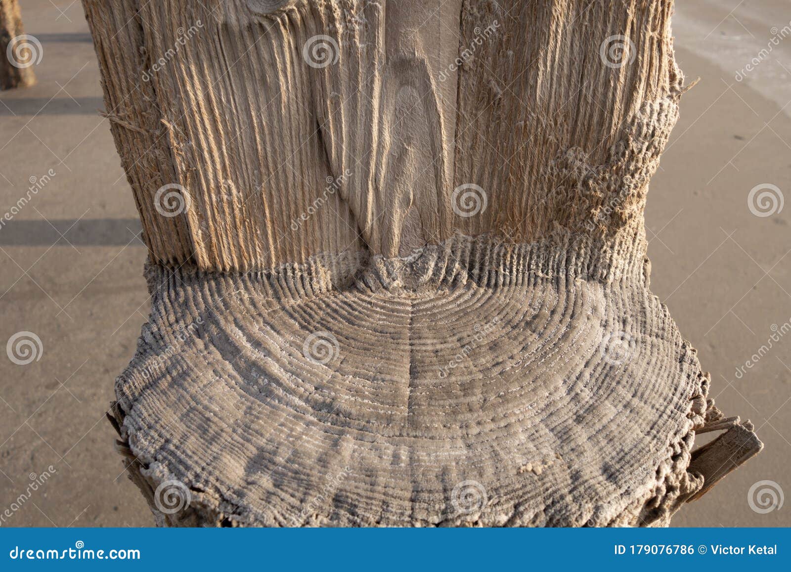Fancy Texture of Ancient Wooden Pillars Covered with Salt Particles ...