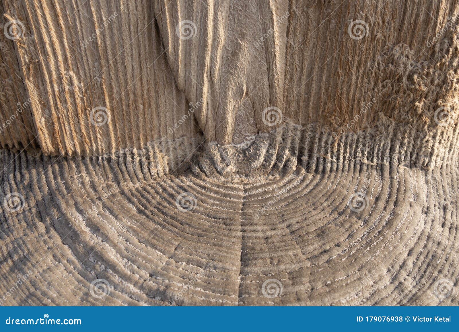 Fancy Texture of Ancient Wooden Pillars Covered with Salt Particles ...