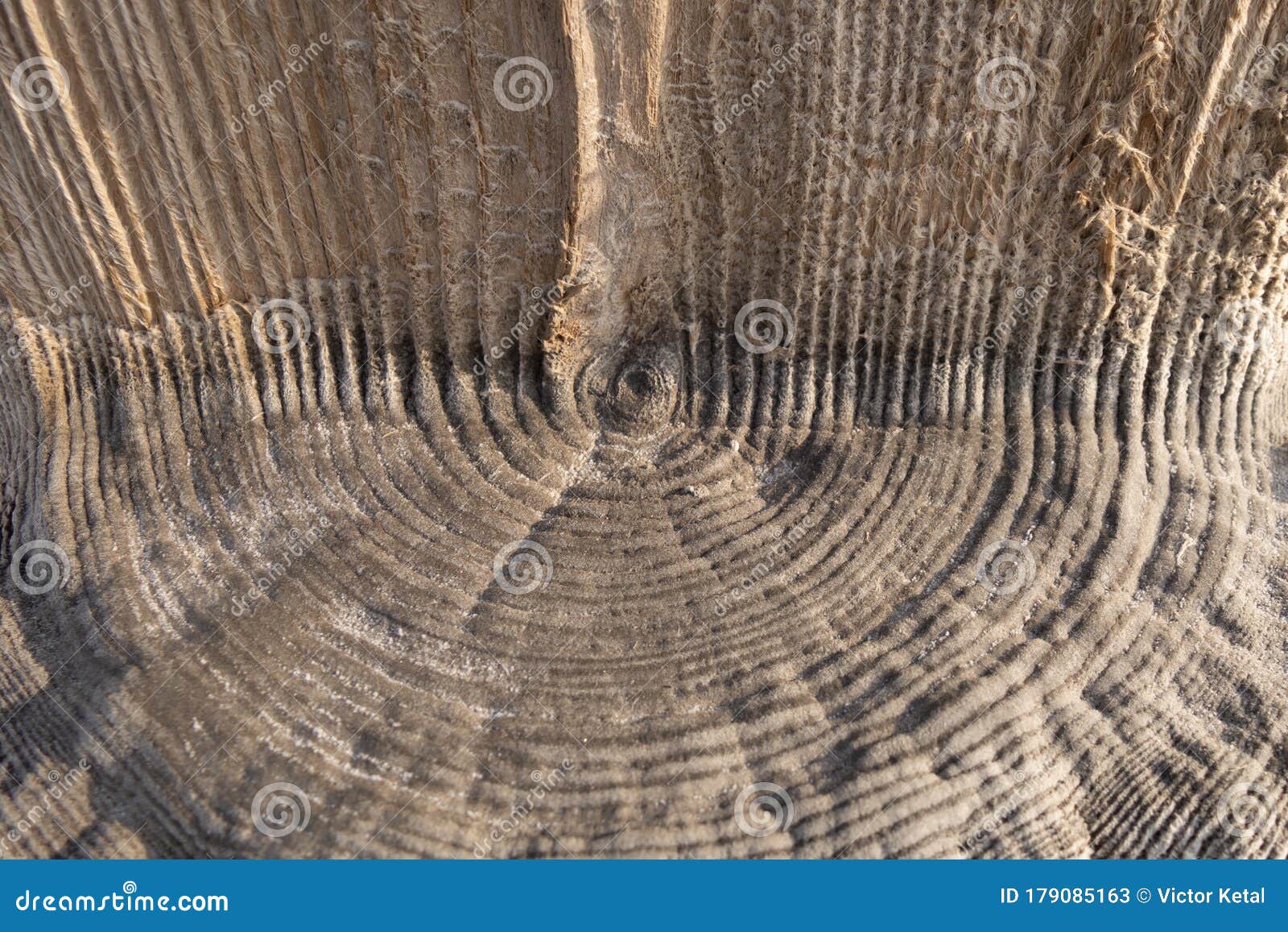 Fancy Texture of Ancient Wooden Pillars Covered with Salt Particles ...