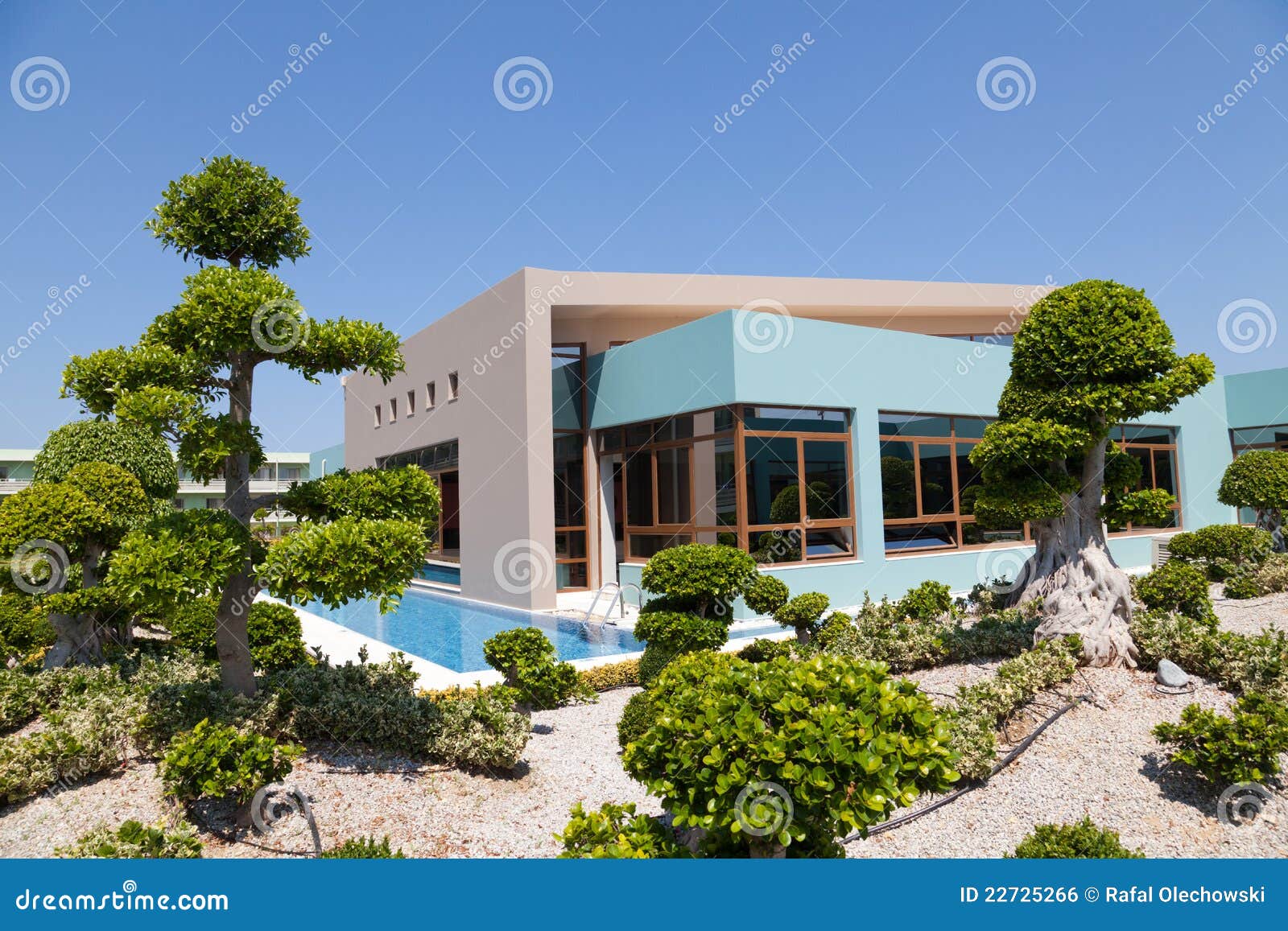 Fancy Trees in Front of Building Stock Photo - Image of city, fancy ...