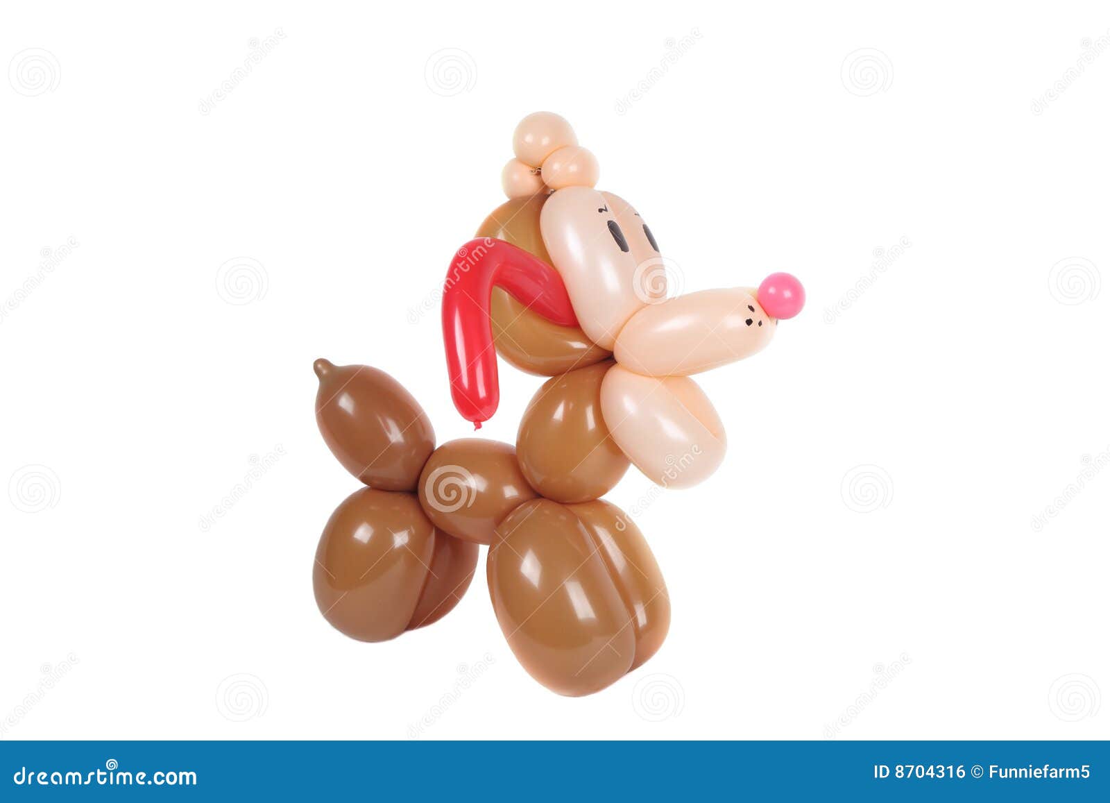 Fancy Twisted Balloon Dog Side Isolated on White Stock Photo - Image of ...
