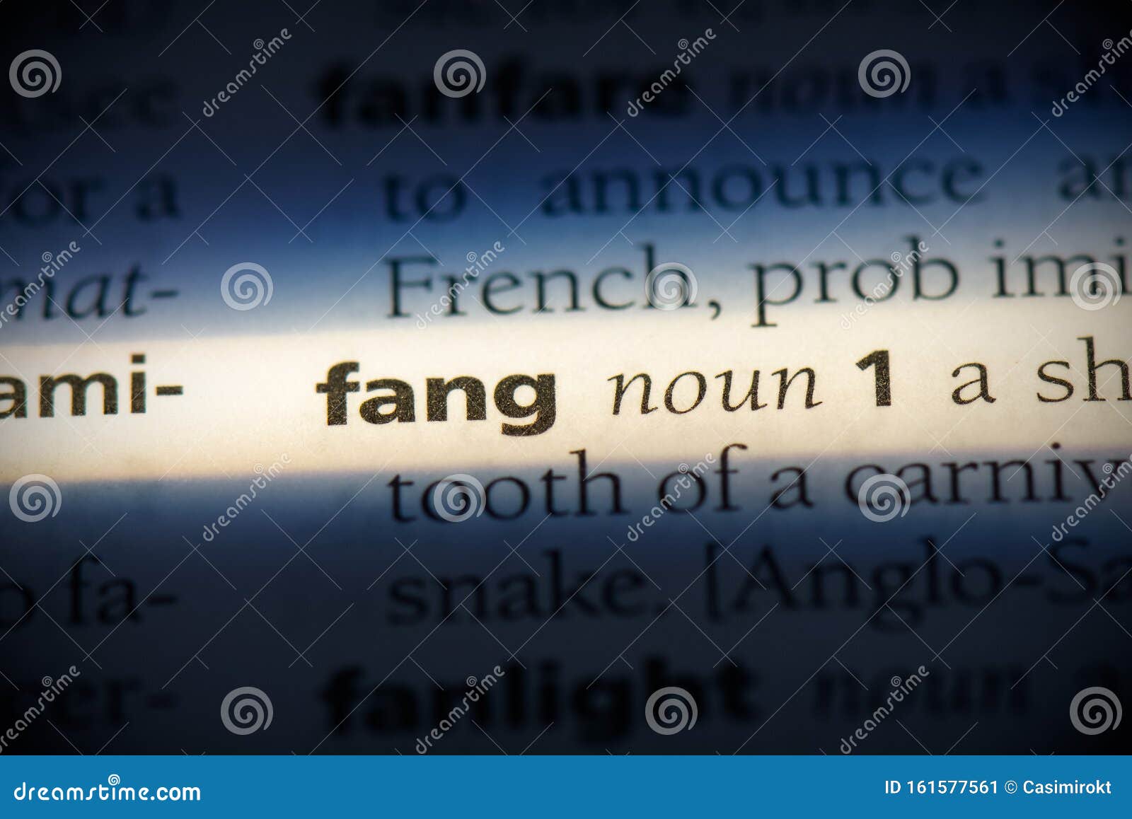 Fang stock image. Image of vocabulary, learn, language - 161577561