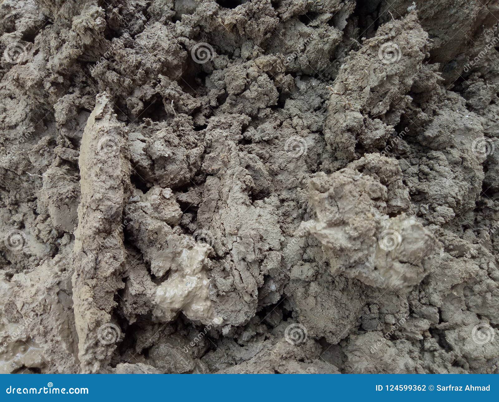 Fango fotografia stock. Immagine di depositi, pioggia - 124599362