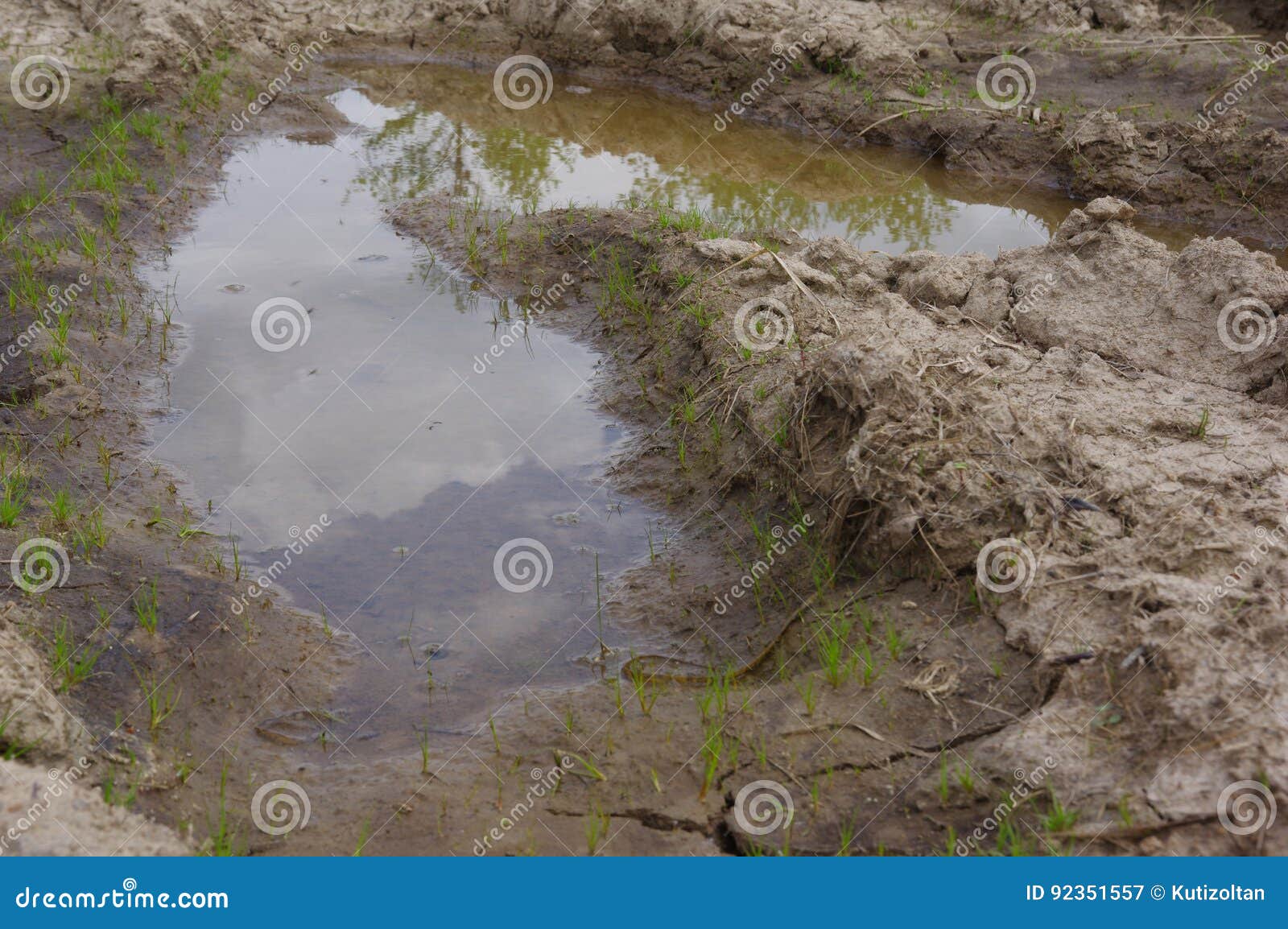 Fango immagine stock. Immagine di rotto, crepe, siccità - 92351557