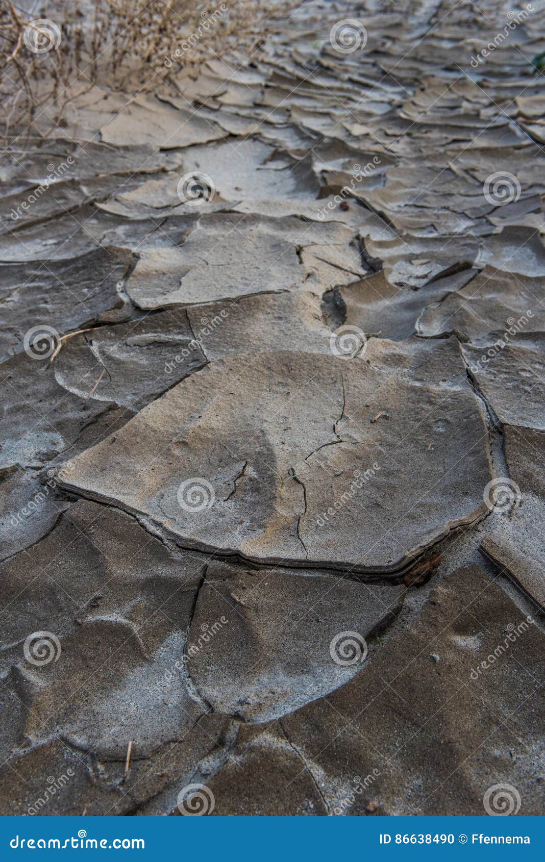 Fango Agrietado En El Desierto Seco Caliente Foto de archivo - Imagen ...