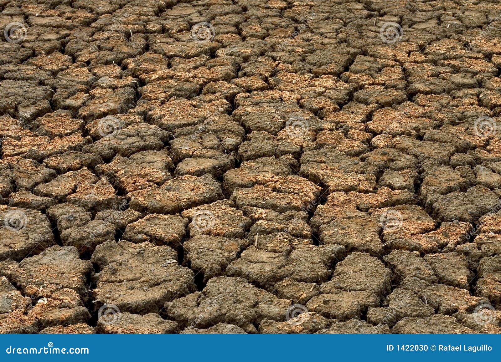 Fango asciutto incrinato fotografia stock. Immagine di terra - 1422030