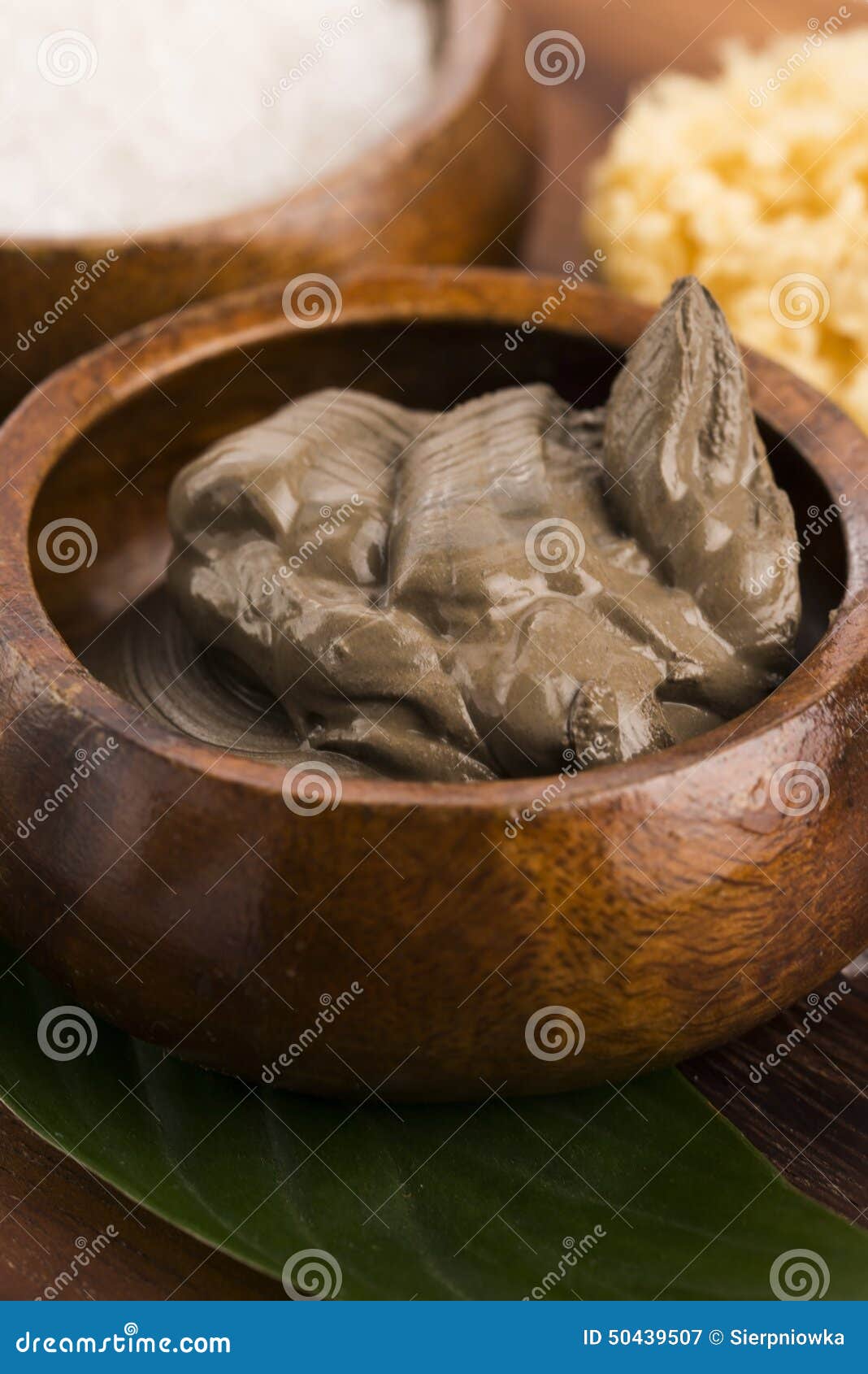 Fango del mar Morto immagine stock. Immagine di sporcizia - 50439507