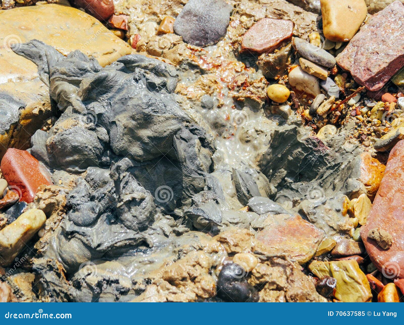 Fango Del Mar Morto in Giordania Immagine Stock - Immagine di venire ...