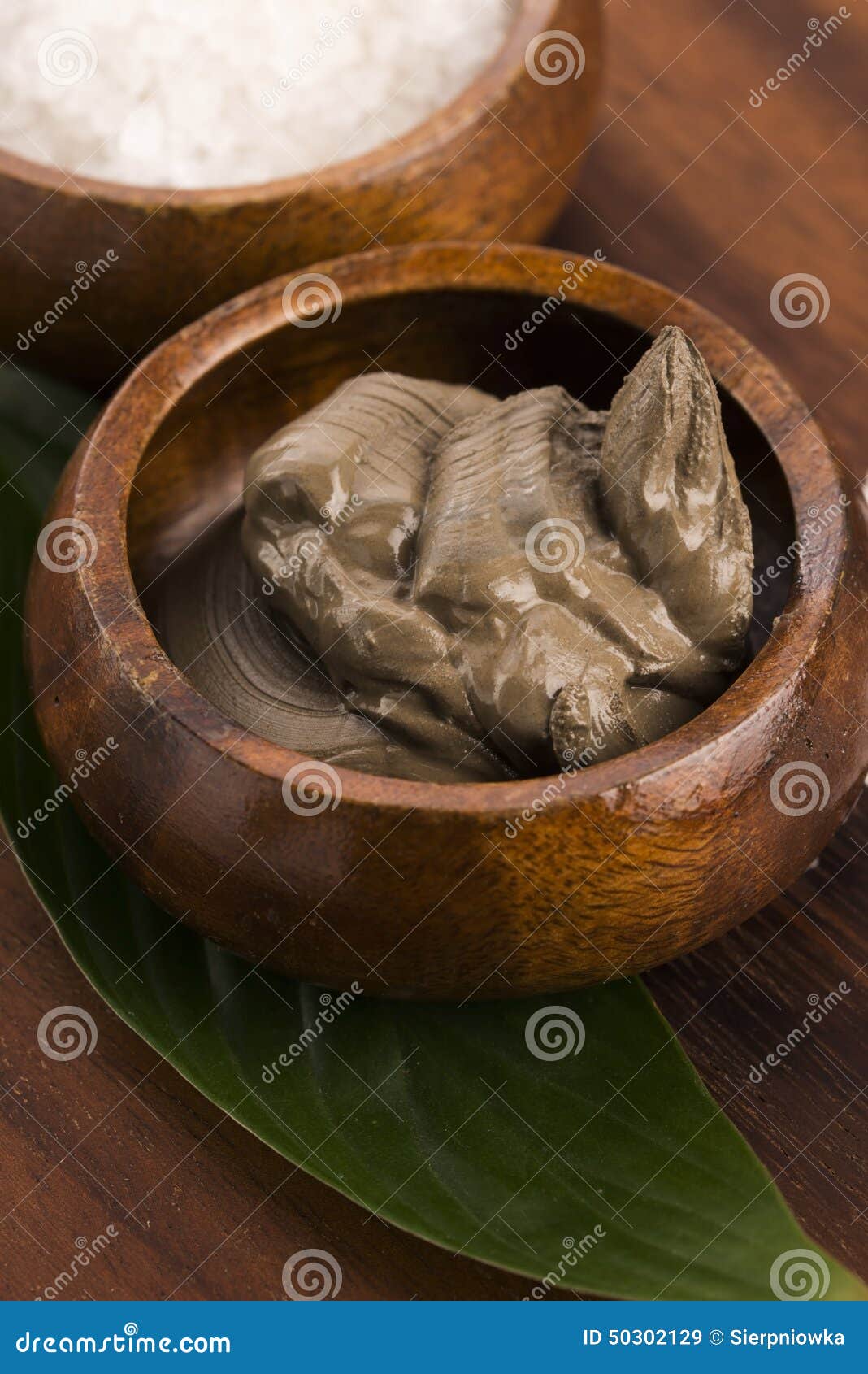 Fango e sale del mar Morto immagine stock. Immagine di facciale - 50302129