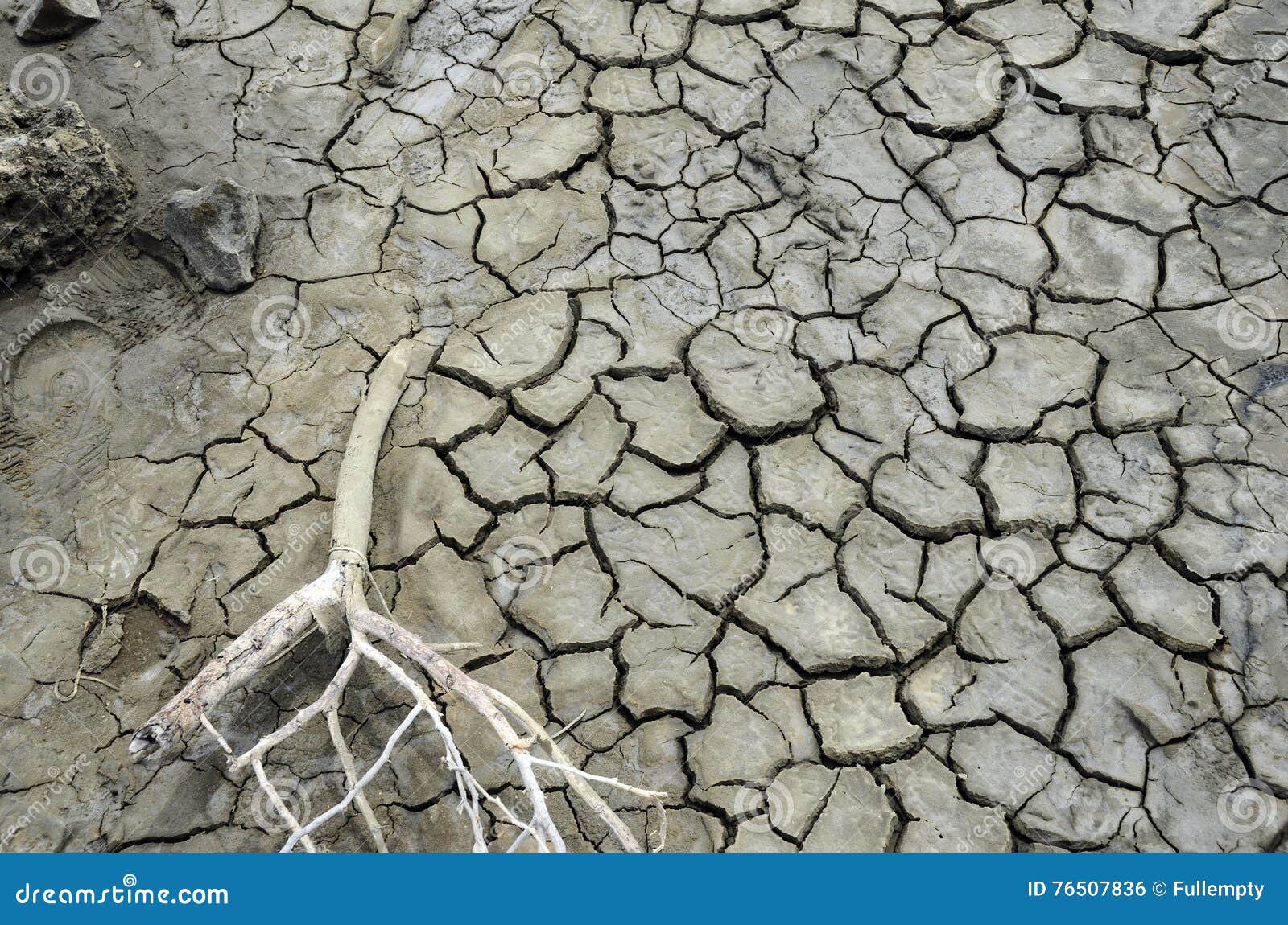 Fango Seco Para La Textura O El Fondo Foto de archivo - Imagen de fango ...