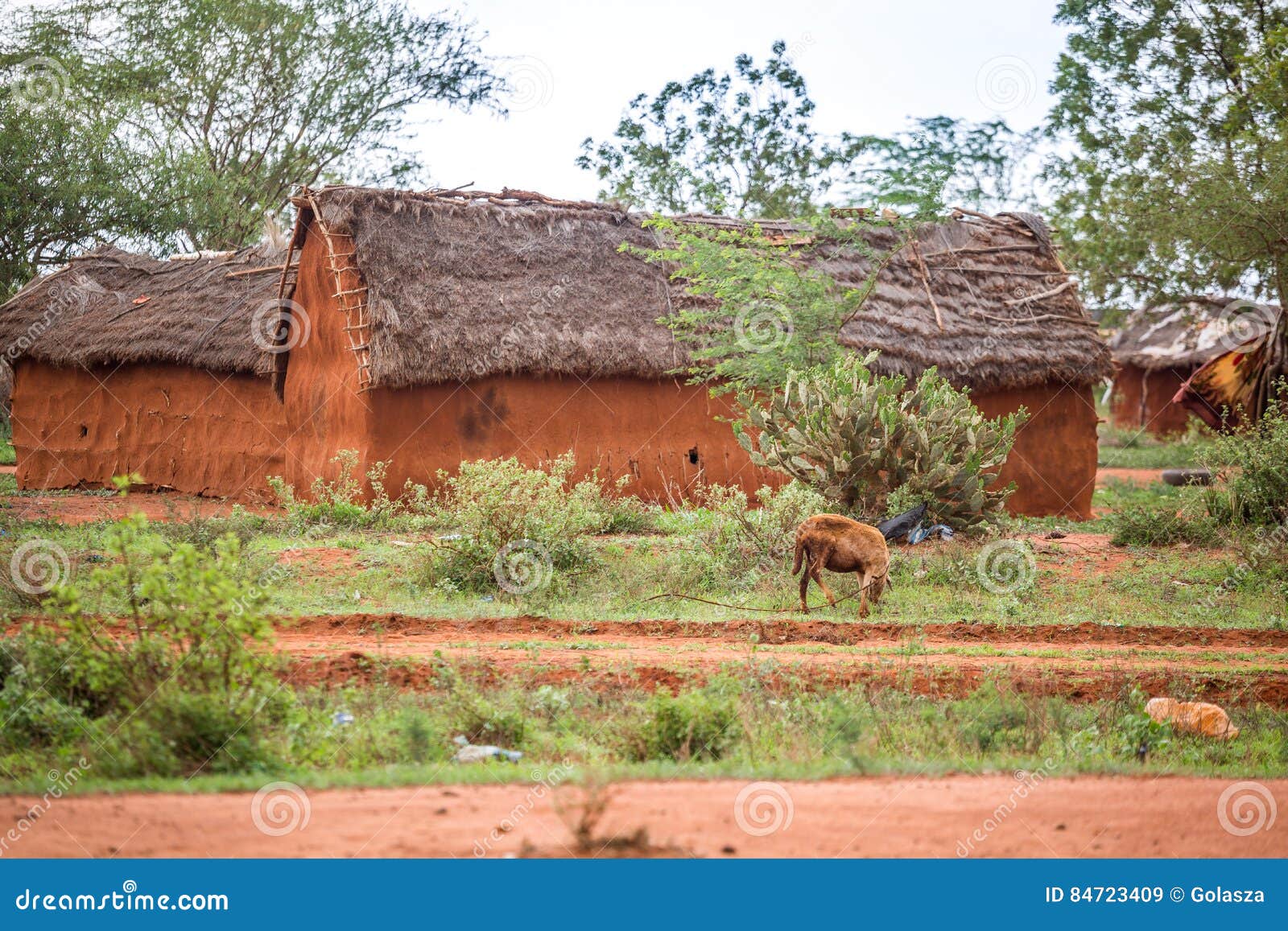 Fango Tradizionale, Case Africane Nel Kenya Immagine Stock - Immagine ...