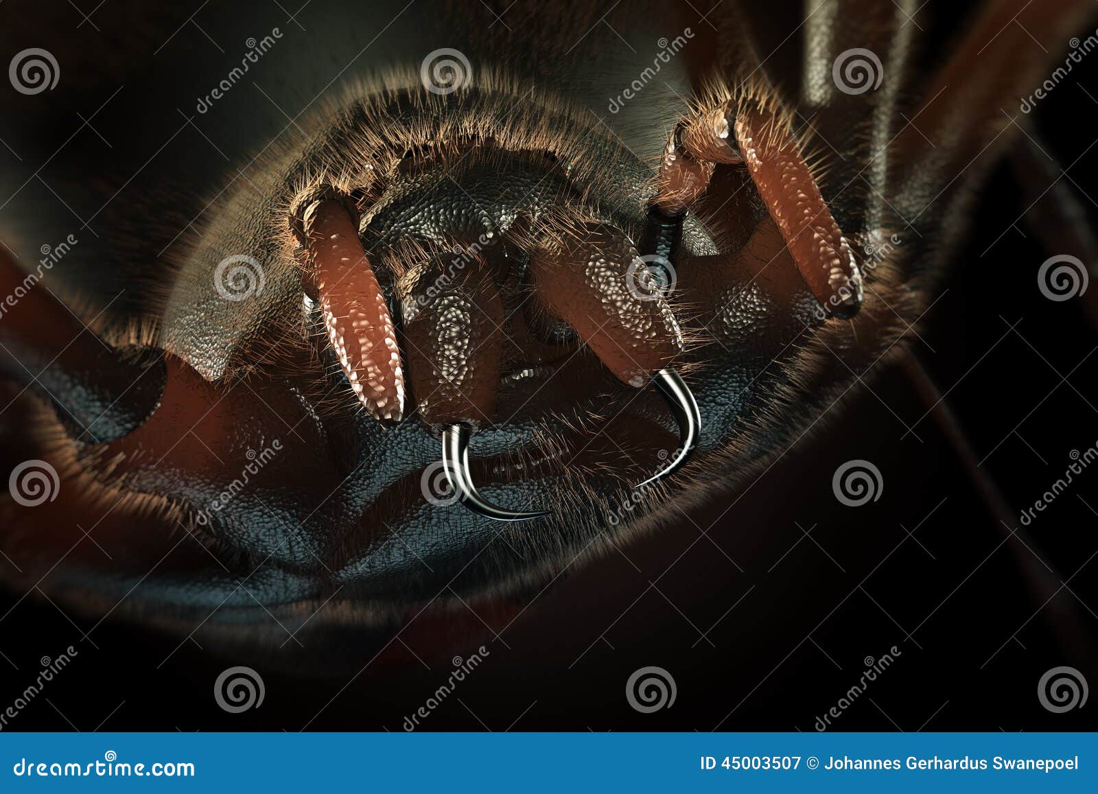 Fangs of Hairy Spider -3D Artwork Stock Illustration - Illustration of ...