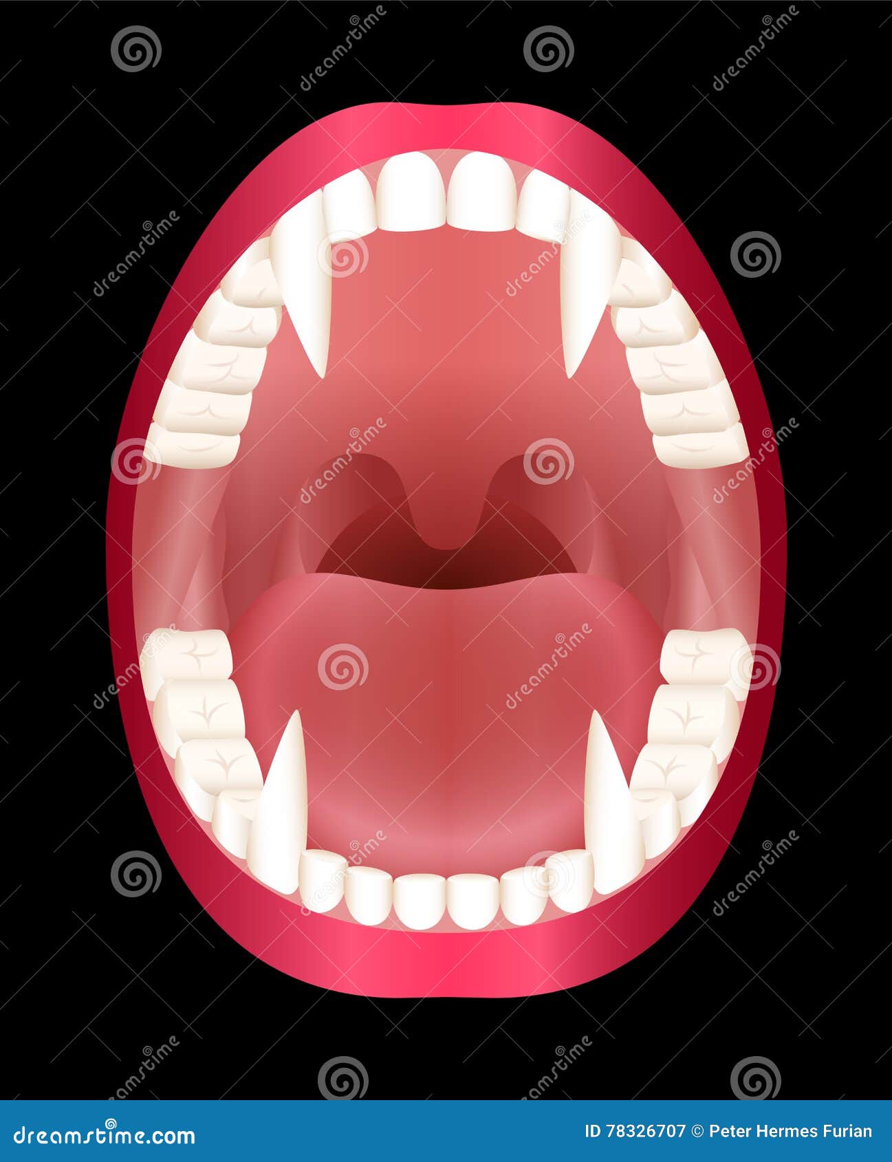 Fangs Vampire Teeth Cartoon Vector | CartoonDealer.com #78326707