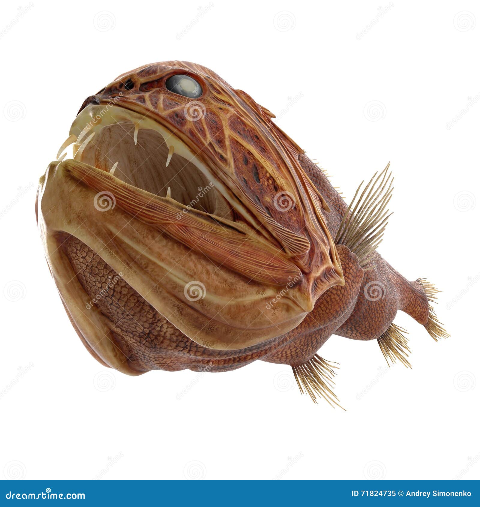 Fangtooth Fish In The Style Of Steam Punk Isolated On White Background ...