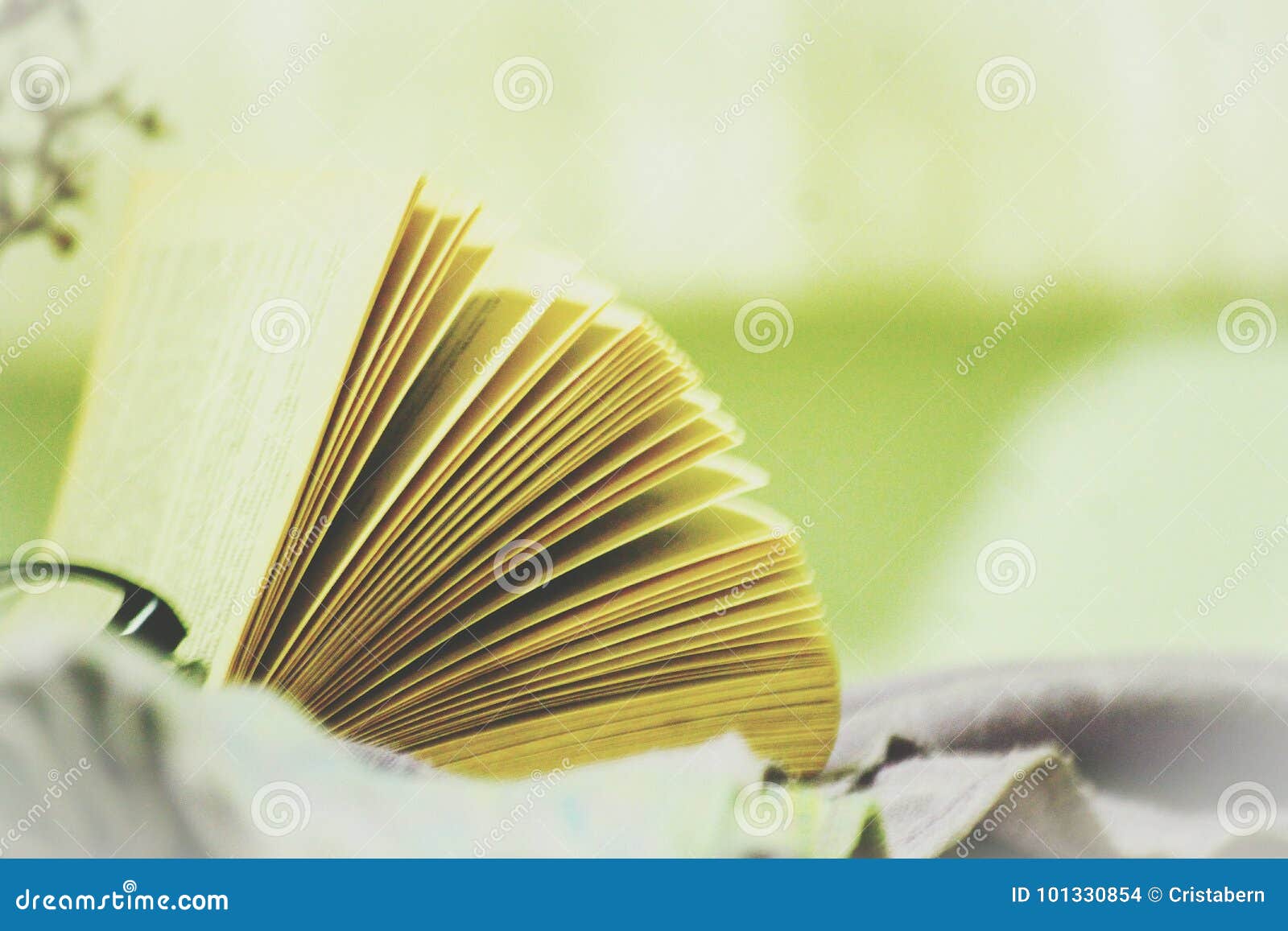 Open pages stock photo. Image of book, pages, open, writing - 101330854