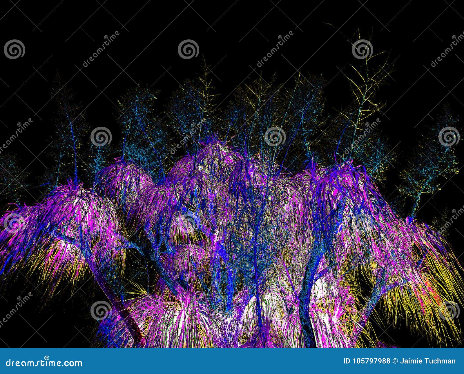 Digital palm trees stock photo. Image of desert, small - 105797988