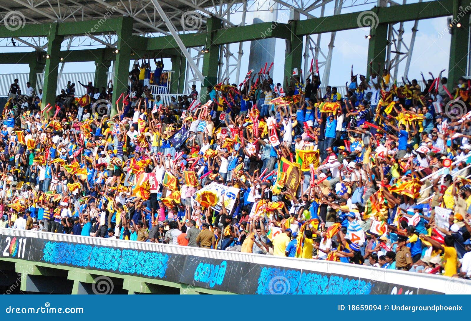 Fans Cheer on the Lions at Cricket World Cup Match Editorial Stock ...