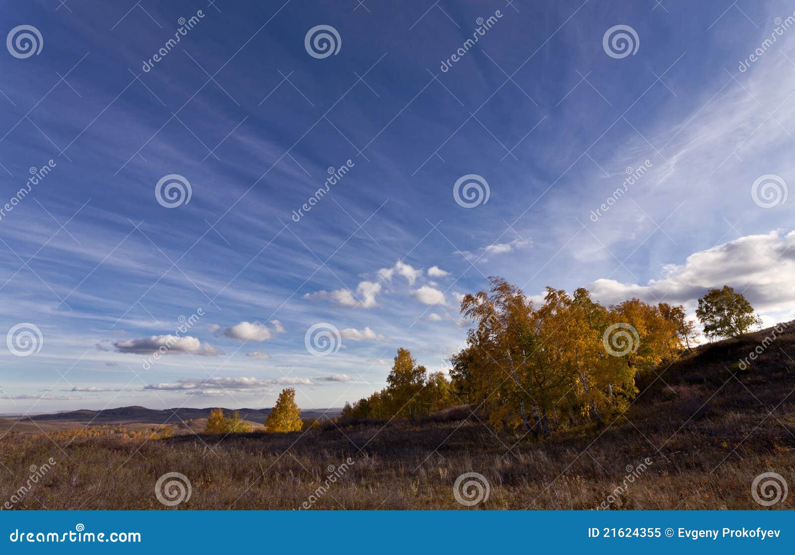 Fantastic Autumn Sky with Clouds Stock Image - Image of woodland, wood ...