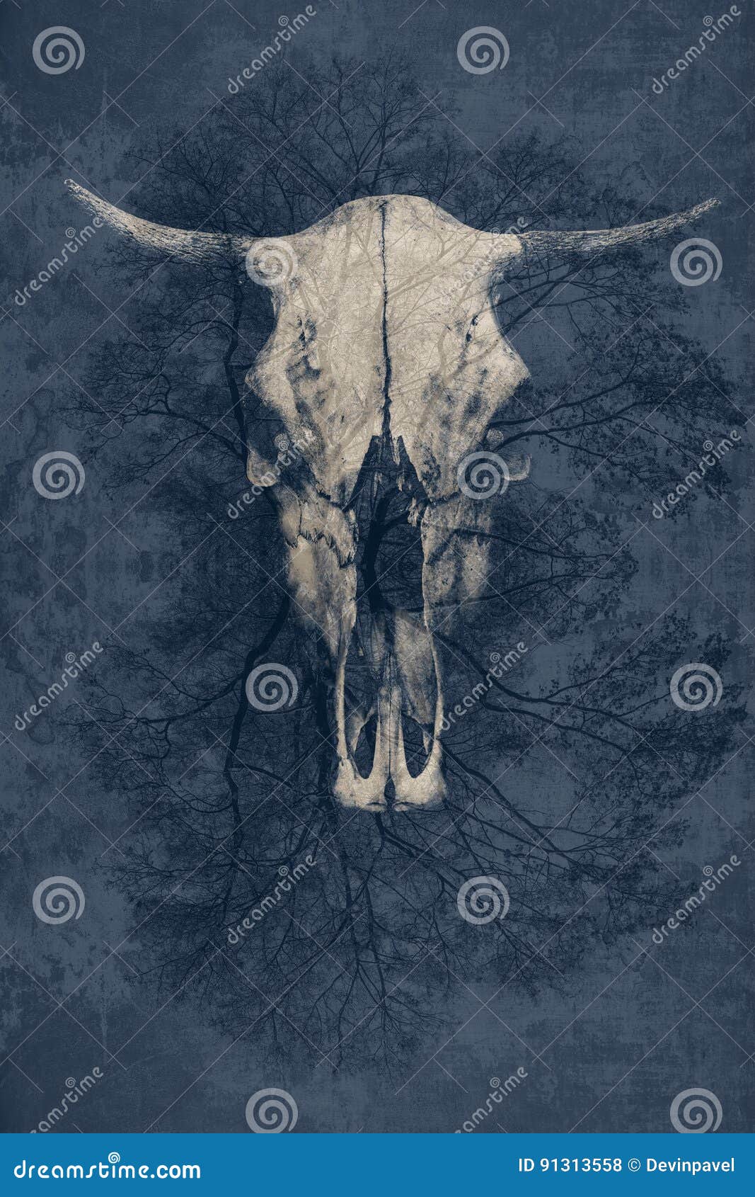 Fantastic Background, a Bull`s Skull with Horns Stock Photo - Image of ...