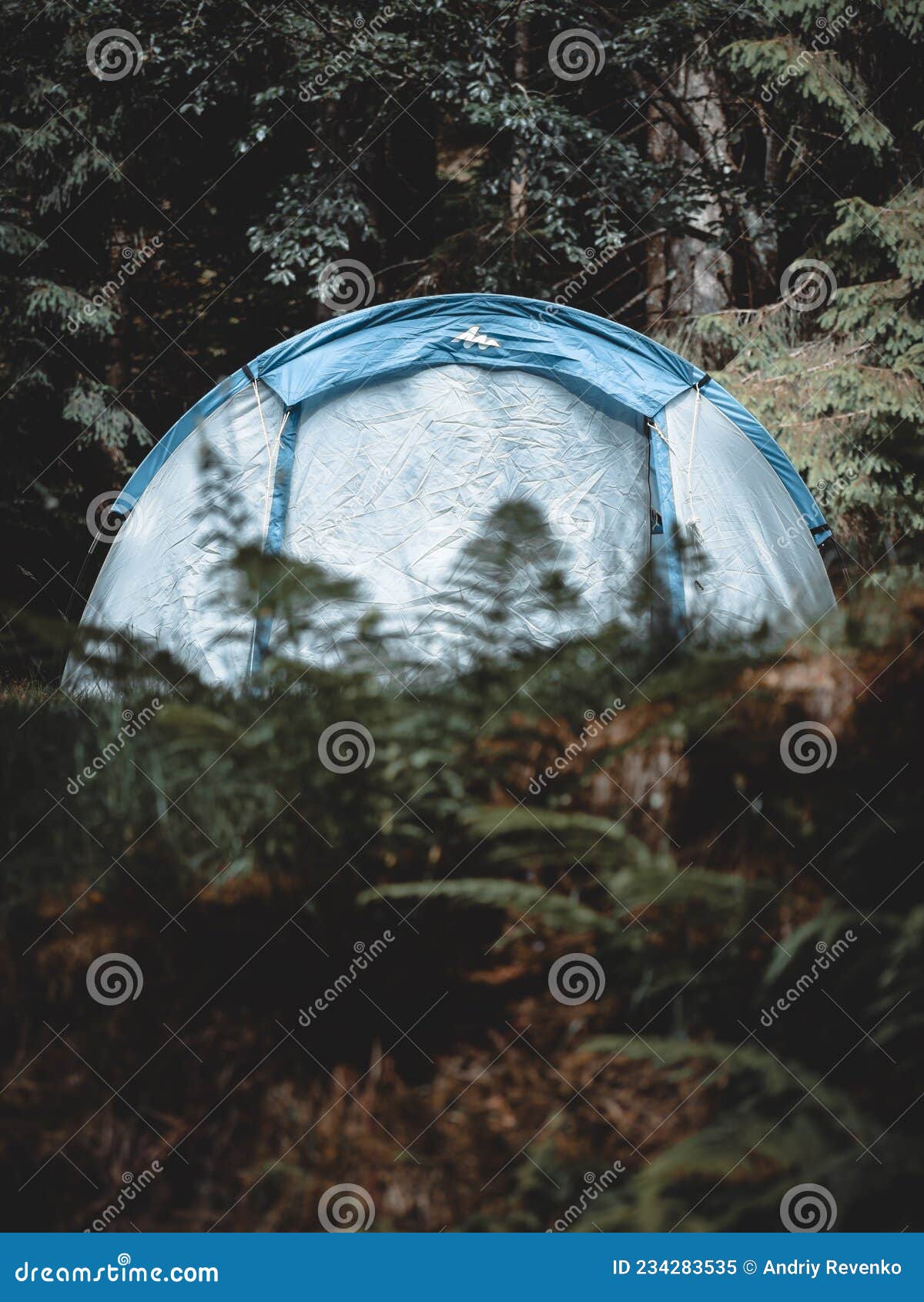 A Fantastic Camping Day in a Tent Stock Image - Image of forest, tent ...