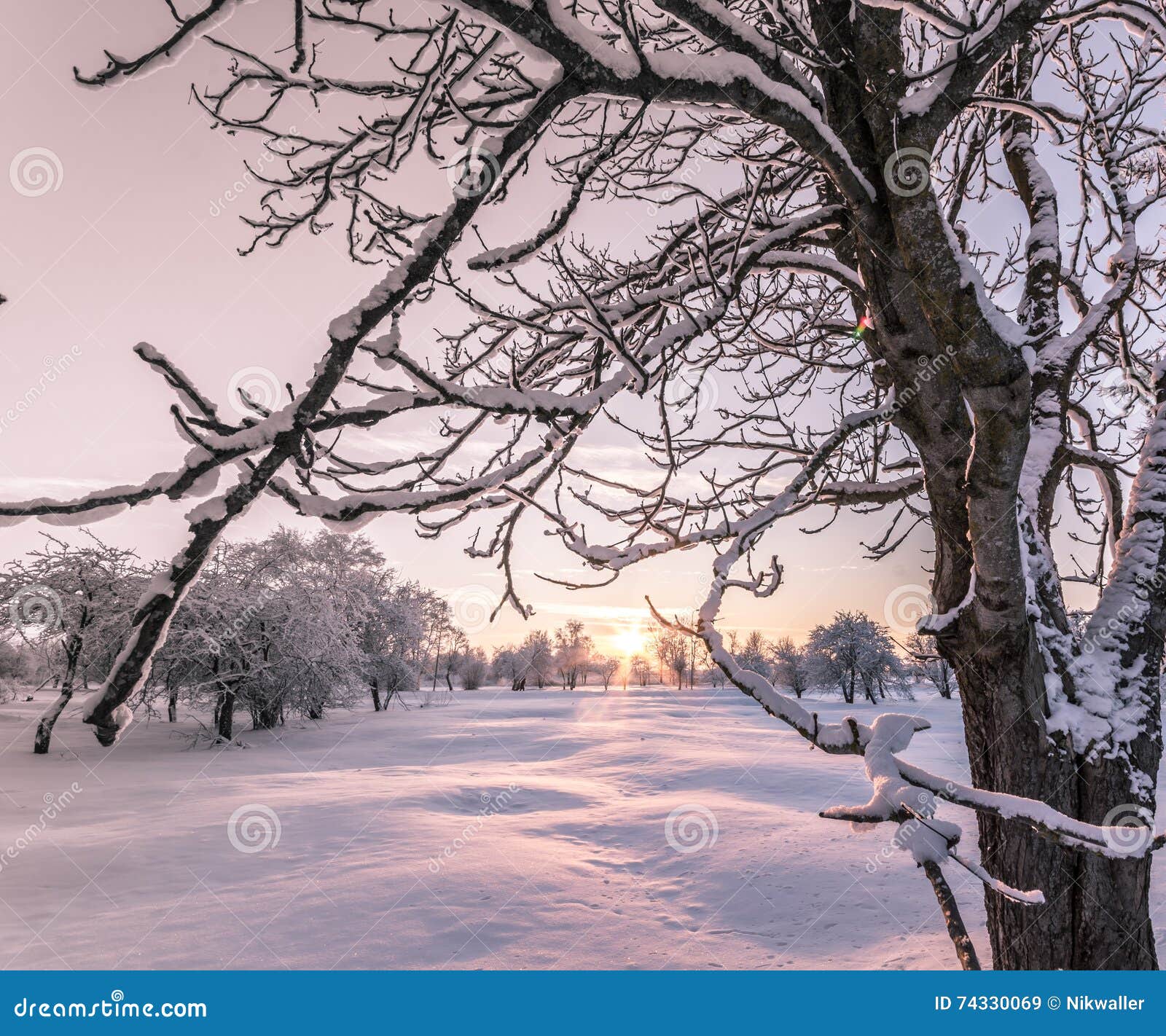 Fantastic Evening Winter Landscape. Dramatic Sky.Sunset. Stock Image ...