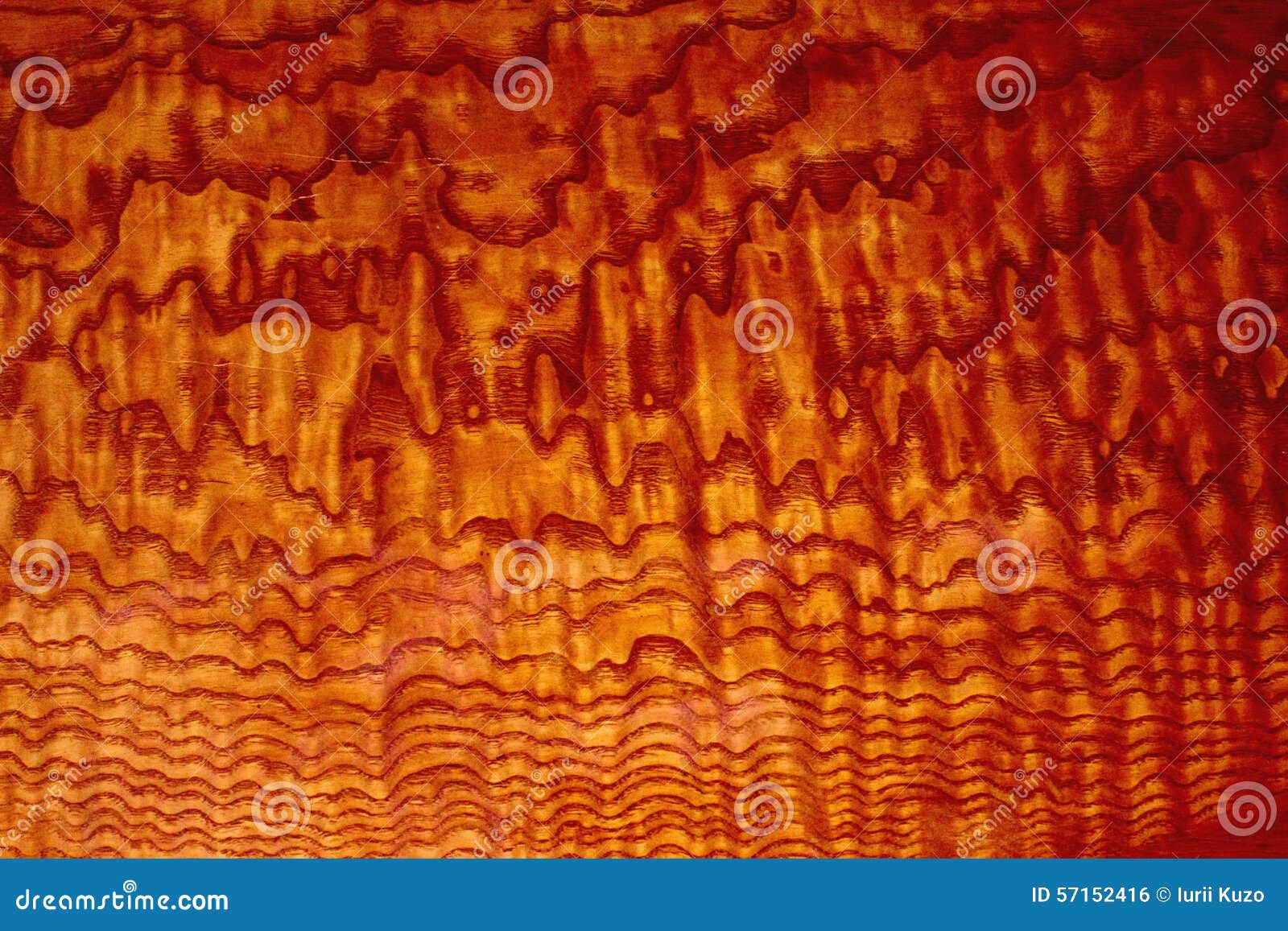 Rare Karelian Birch Texture Royalty-Free Stock Image | CartoonDealer ...
