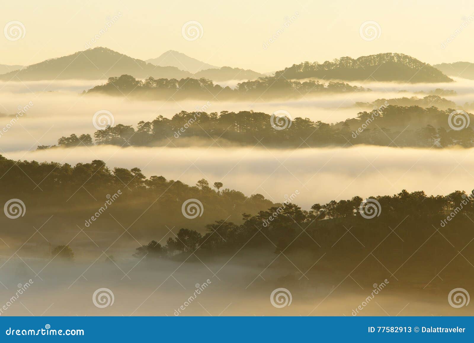 Fantastic Foggy Forest and Mountain Stock Image - Image of majestic ...