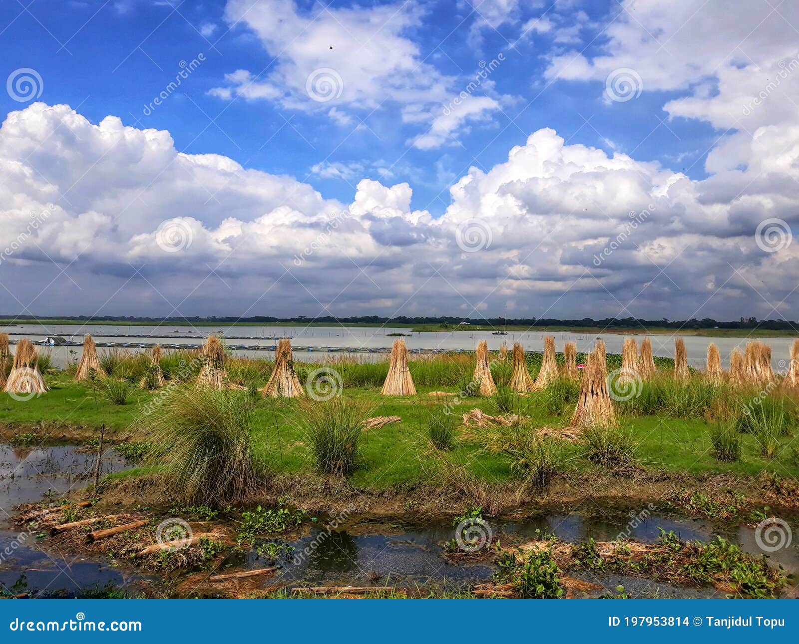 A Fantastic Landscape View of a River Side in Beautiful Bangladesh ...