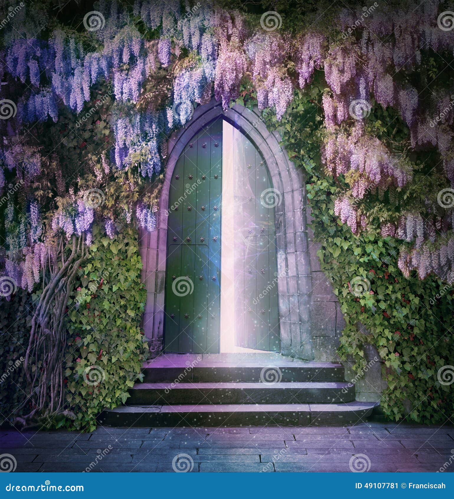 Fantastic Lights of an Open Door Stock Image - Image of magic, flowers ...