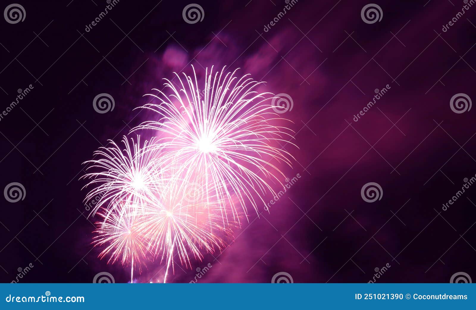 Fantastic Purple Fireworks Exploding into the City Night Sky Stock ...