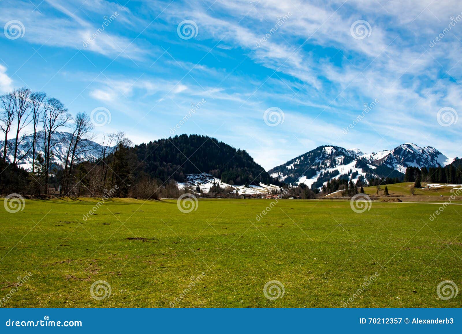 Fantastic Meadow and Mountain in Spring - Germany Stock Image - Image ...