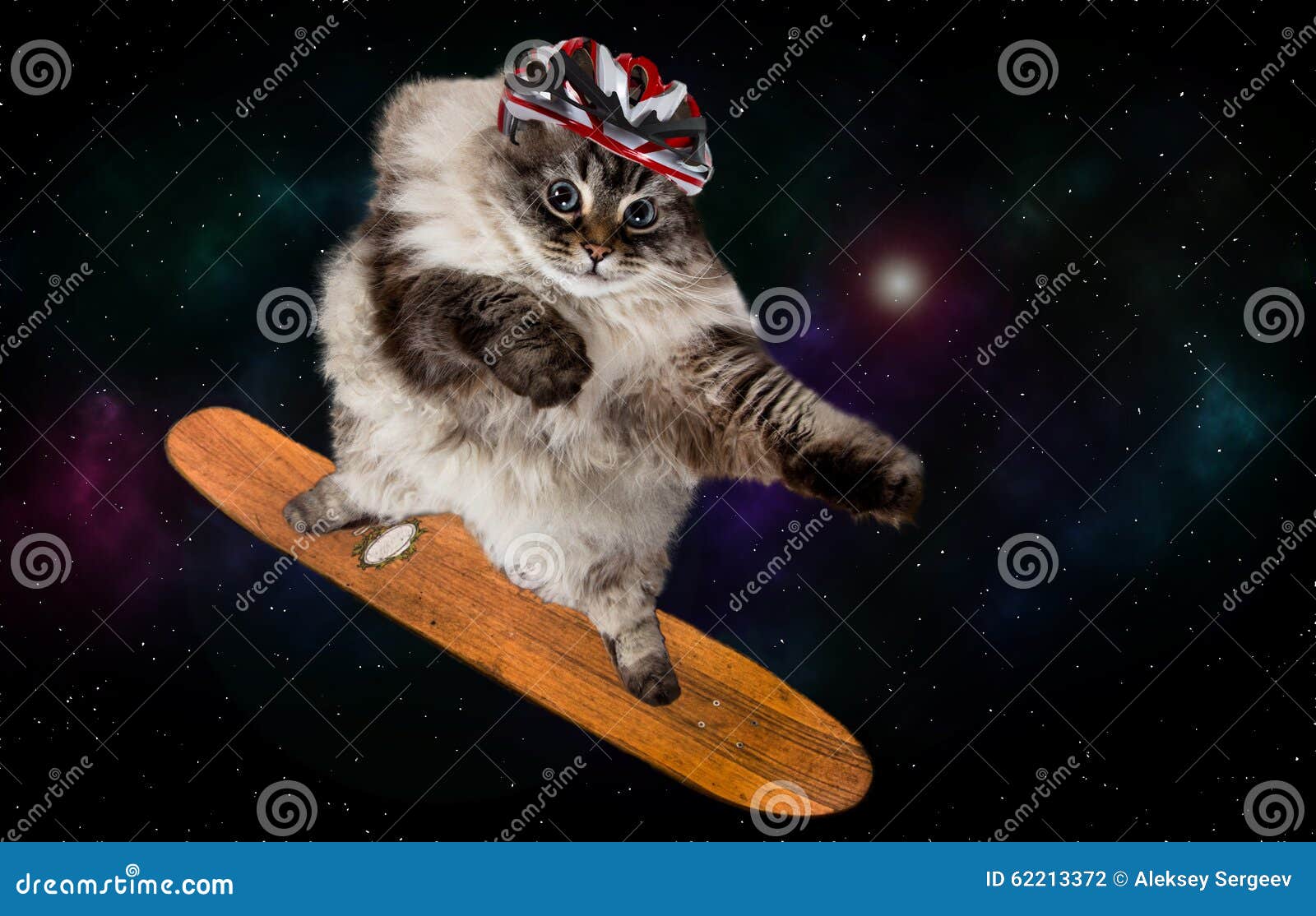 Fantastic Skateboarding Cat in Space Stock Photo - Image of skating ...