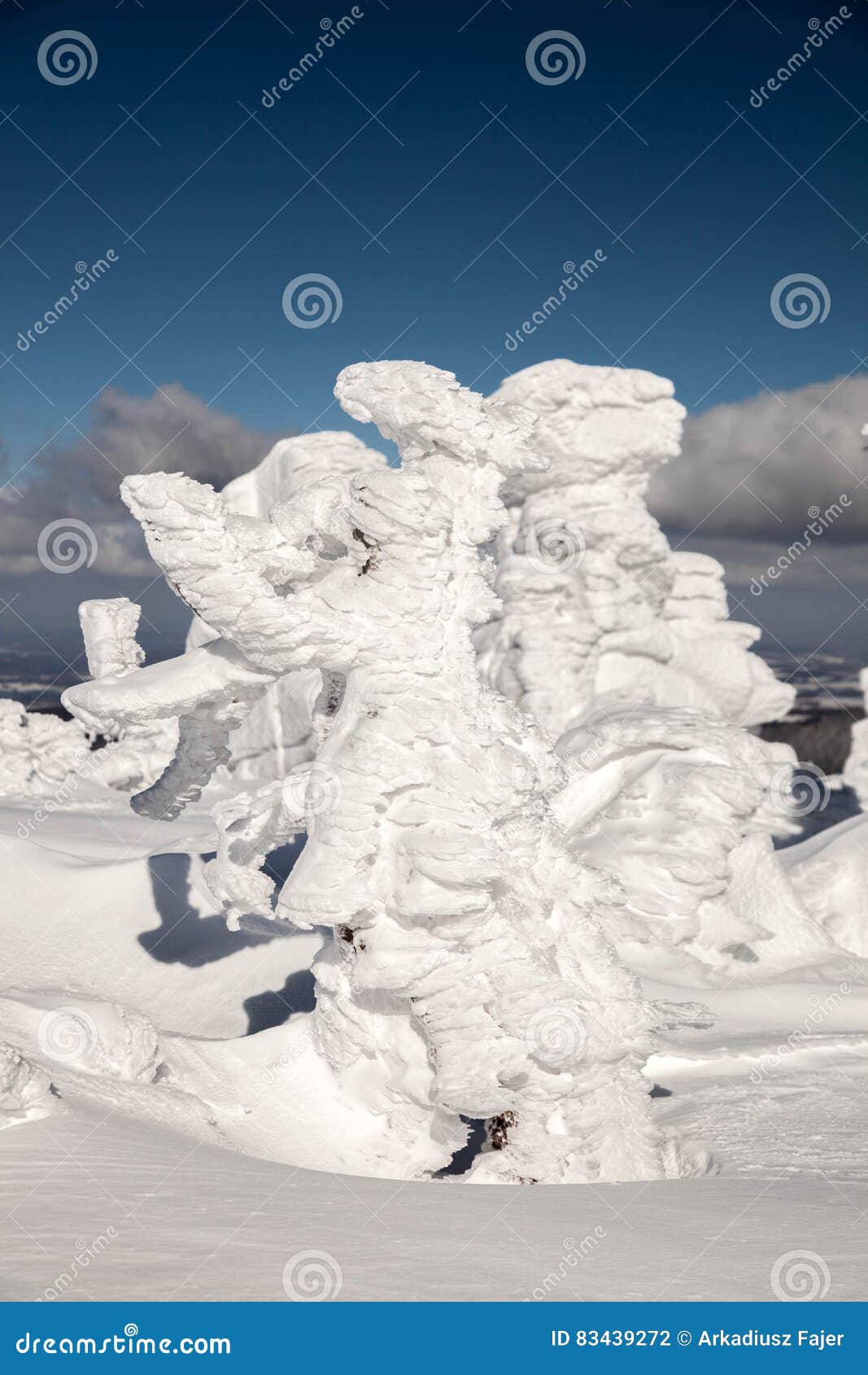 Fantastic Snow Figures on Trees. Stock Photo - Image of covering ...