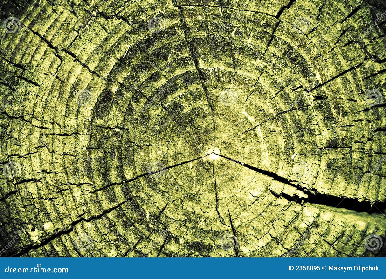 Fantastic stump texture stock image. Image of pattern - 2358095