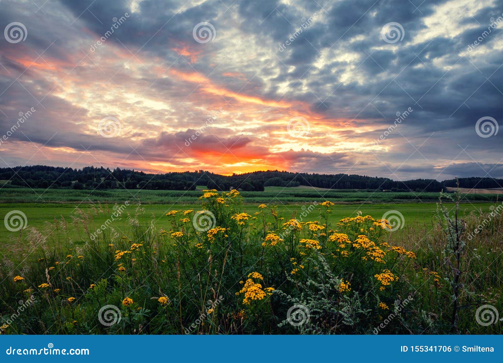 Fantastic Sunset Over the Fields in the Countryside Stock Photo - Image ...