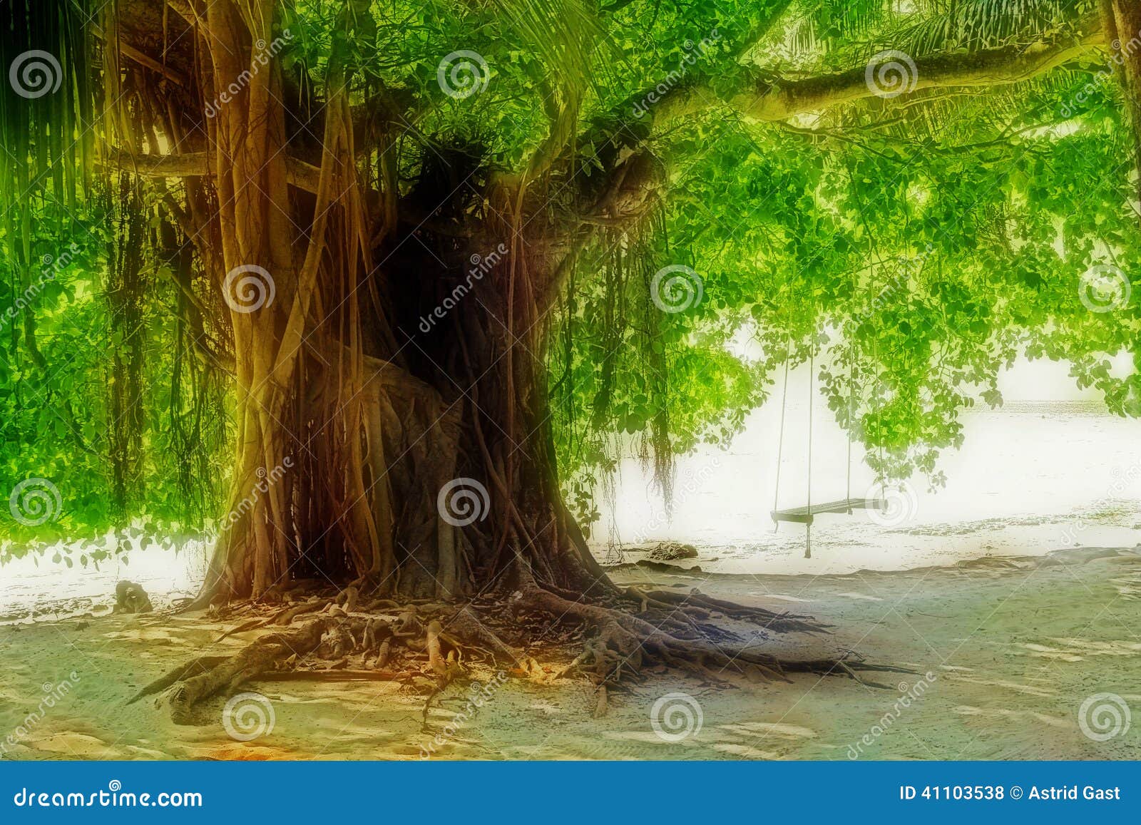 Fantastic tree stock photo. Image of island, carefree - 41103538