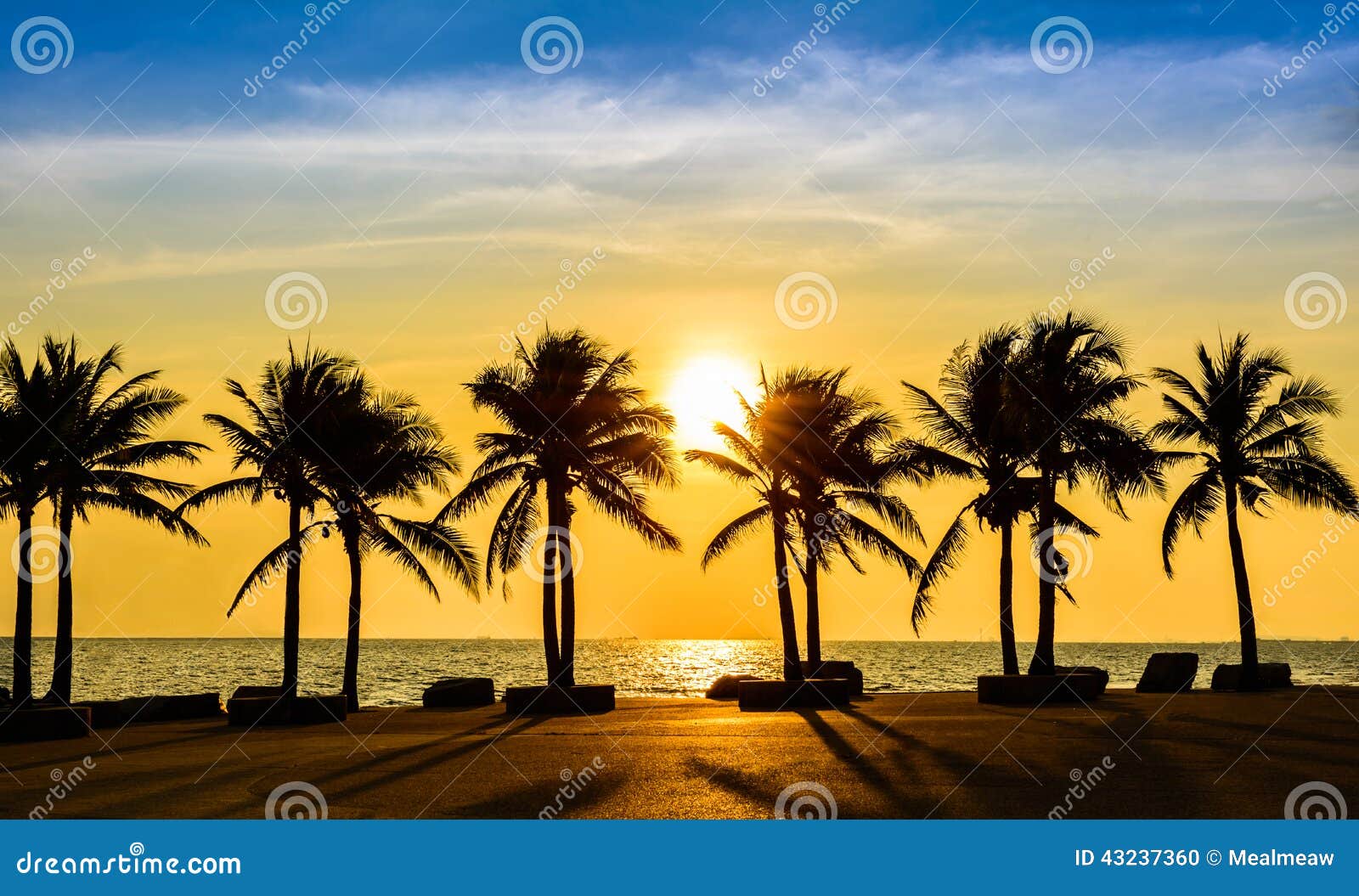 Fantastic Tropical Beach with Palms at Sunset Stock Photo - Image of ...