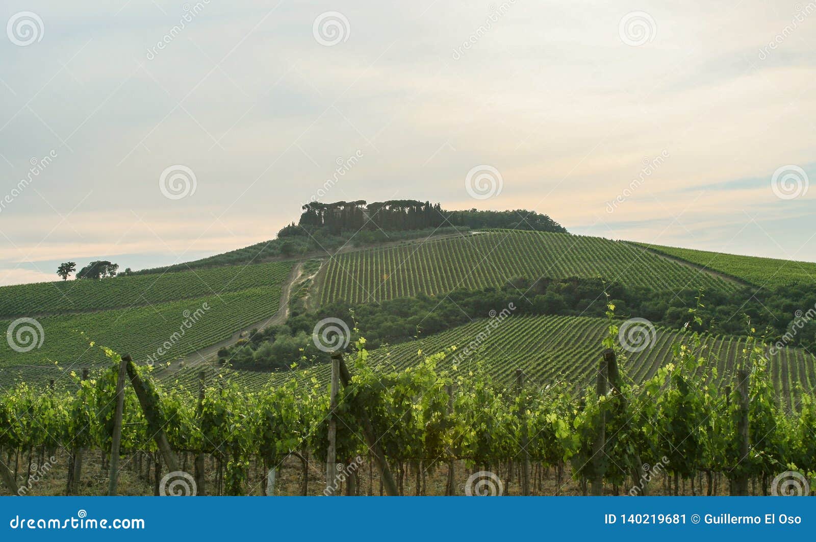 Fantastic View of an Italy Manor from the Street Stock Image - Image of ...