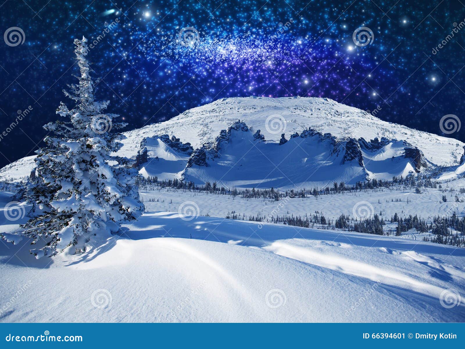 22,858 Starlight Night Stock Photos - Free & Royalty-Free Stock Photos ...