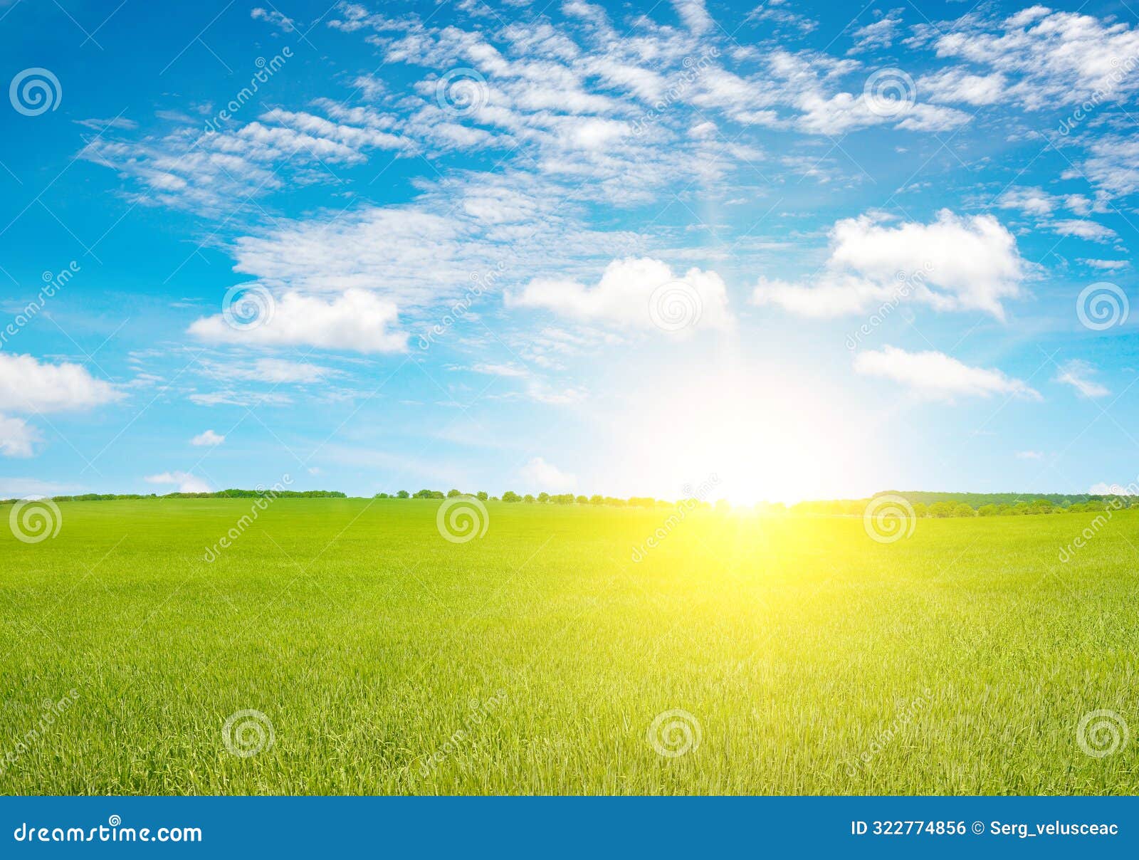 Fantastically Bright Sky Over Green Field Stock Photo - Image of wheat ...