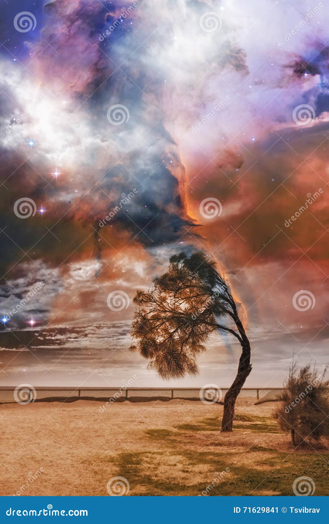 Fantasy Alien Landscape with Bent Tree and Galaxy Vortex Stock Image ...