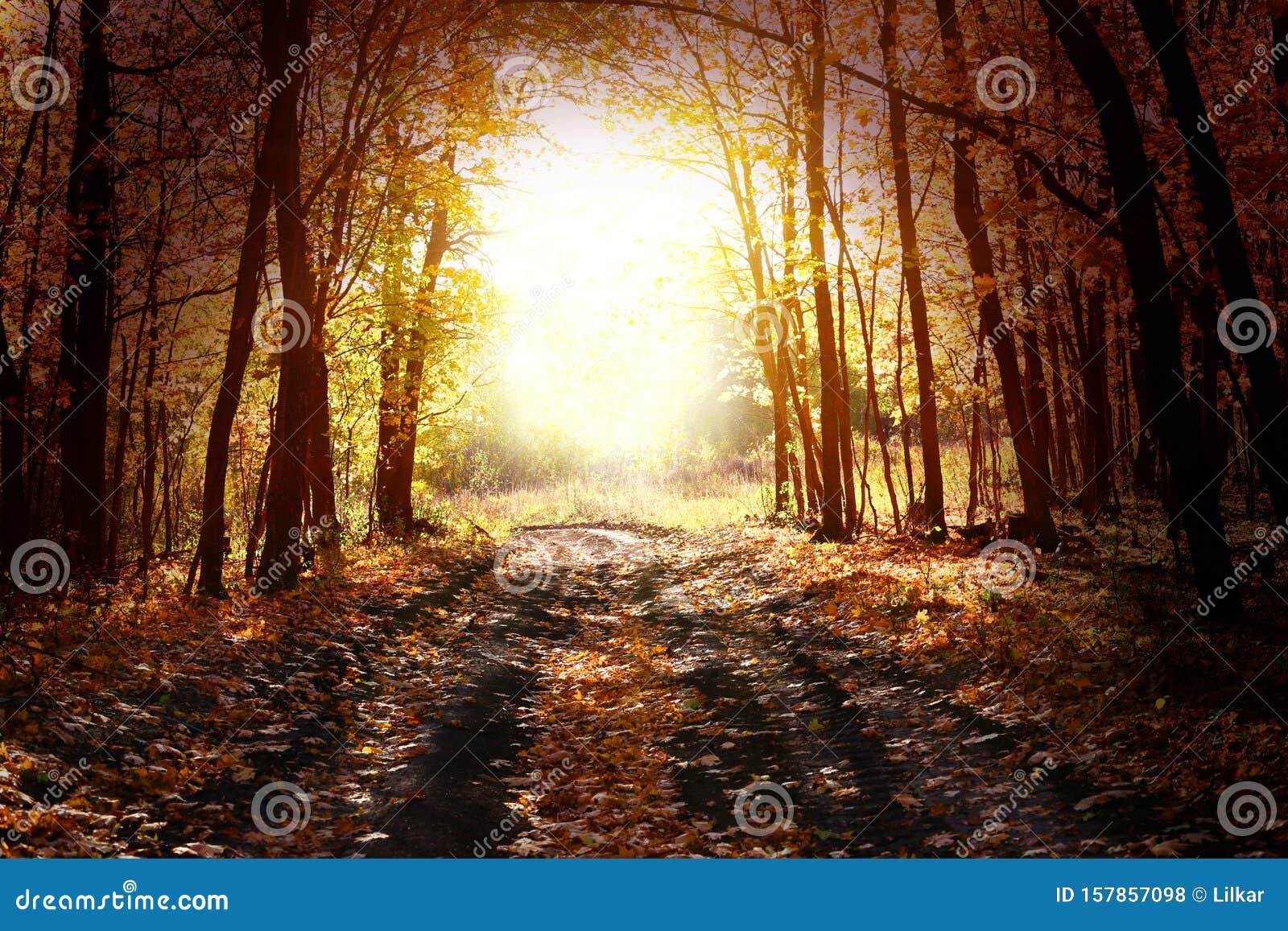 Beautiful autumn landscape stock photo. Image of golden - 157857098