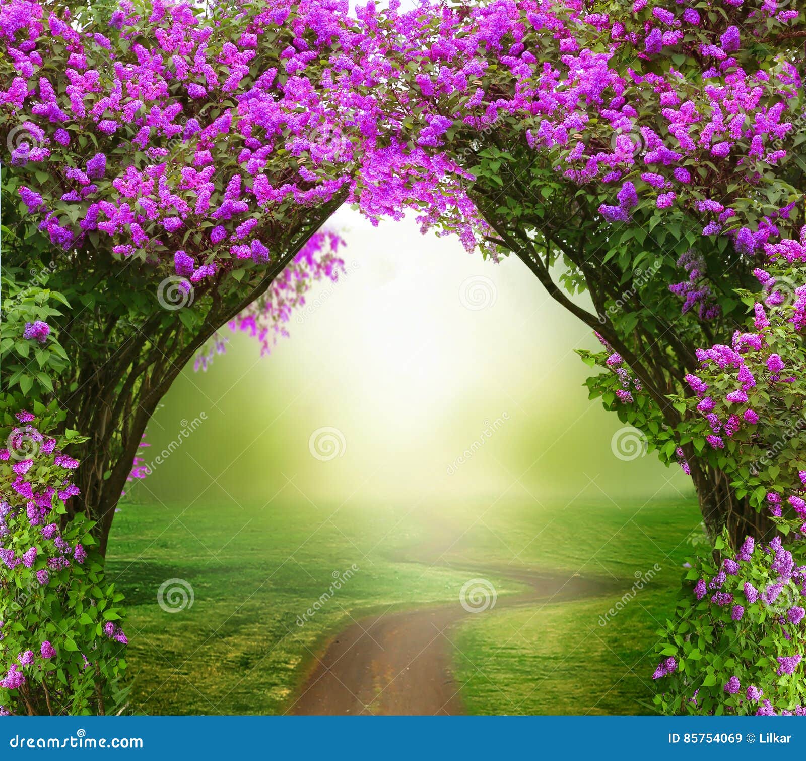 Fantasy Background . Magic Forest with Road Stock Illustration ...