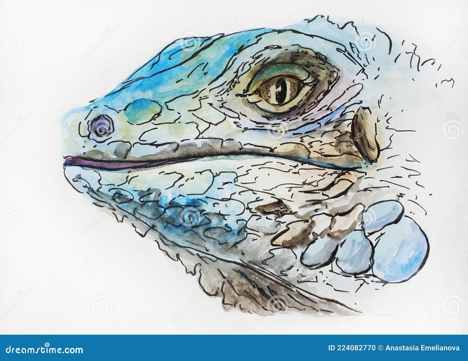 The Fantasy Blue Dragon Head Stock Illustration - Illustration of ...