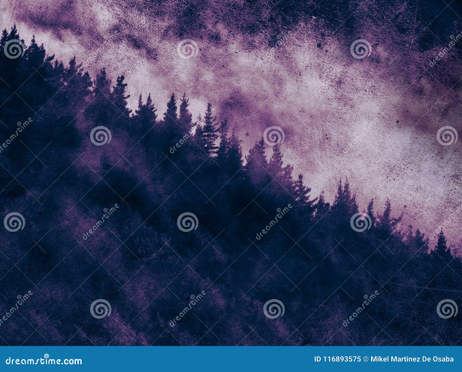 Fantasy dark forest stock image. Image of copy, creepy - 116893575