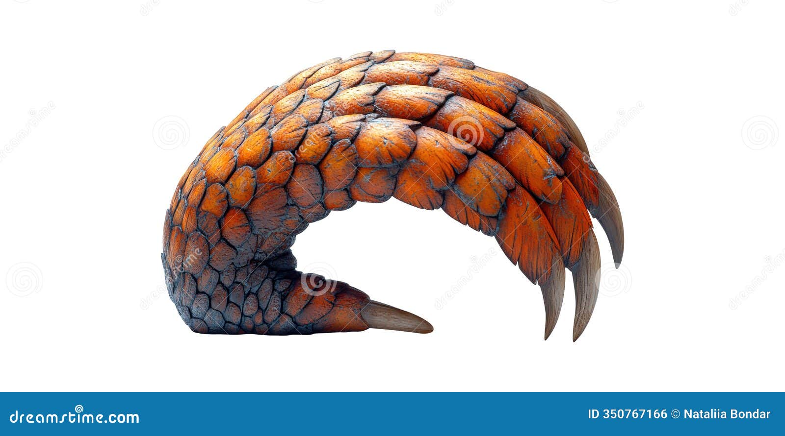 Fantasy Dragon Claw Sculpture Isolated on Transparent Background Stock ...