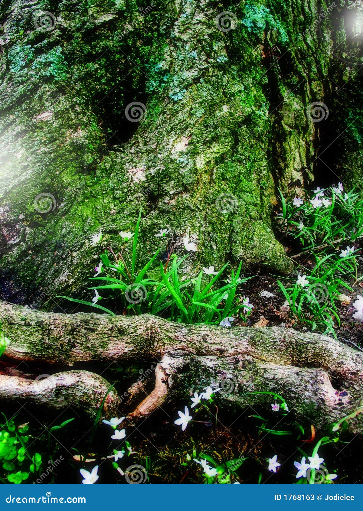 Fantasy Fairy Forest stock image. Image of faeries, picnic - 1768163