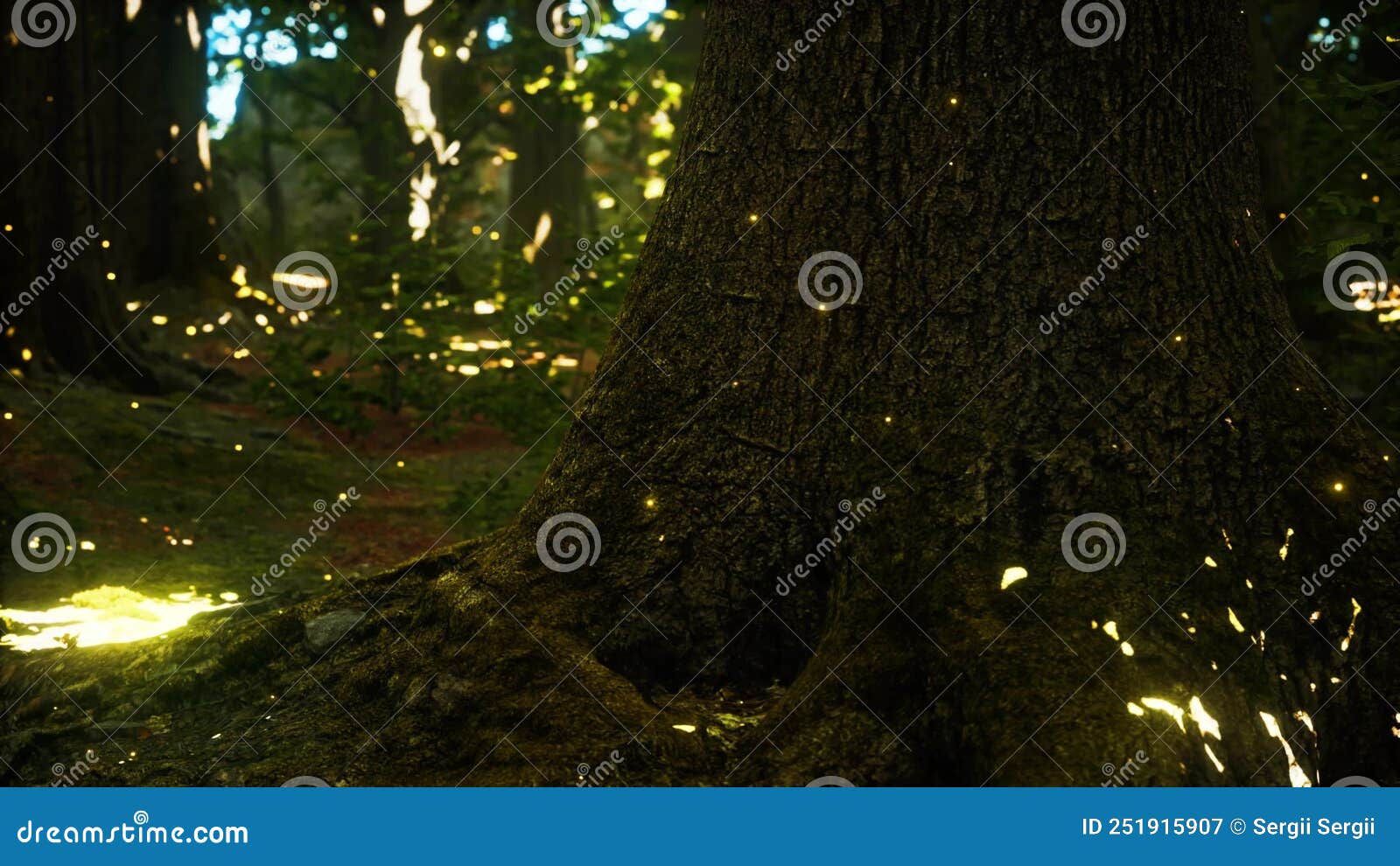 Fantasy Firefly Lights in the Magical Forest Stock Video - Video of ...