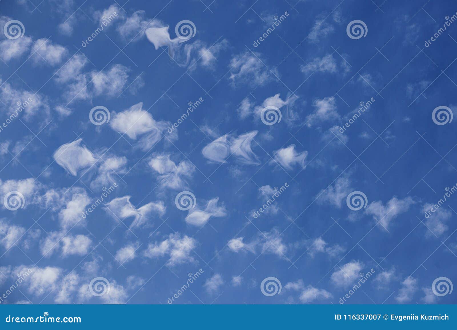 Fantasy Flock of Clouds Taking the Shape of Fish Swims Across the Sky ...