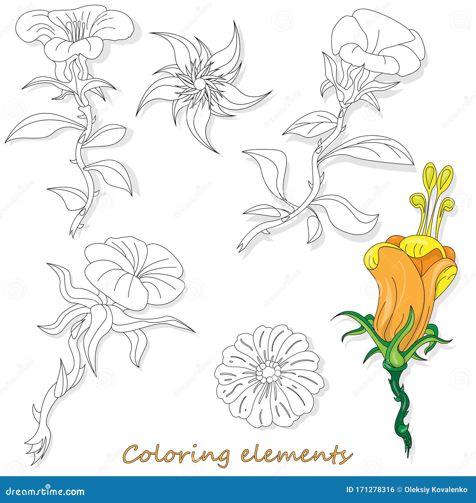 Fantasy Flower Elements Illustration Set on White Isolated. Vector ...
